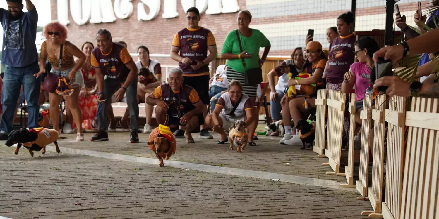 Festival de Dachshund reúne mais de 200 patudos em belém