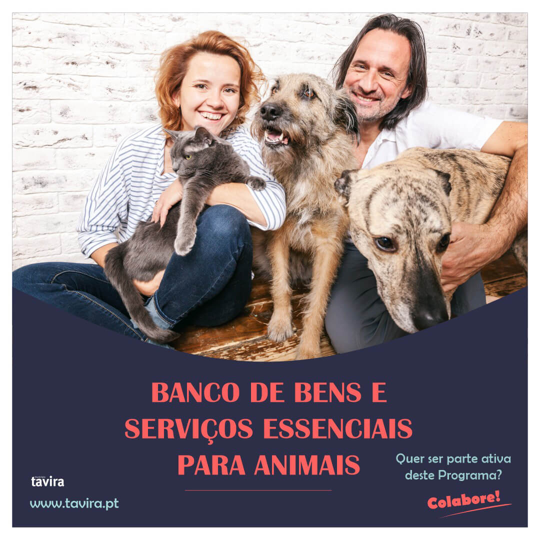 Tavira Implementa Banco de Bens e Serviços Essenciais para Animais